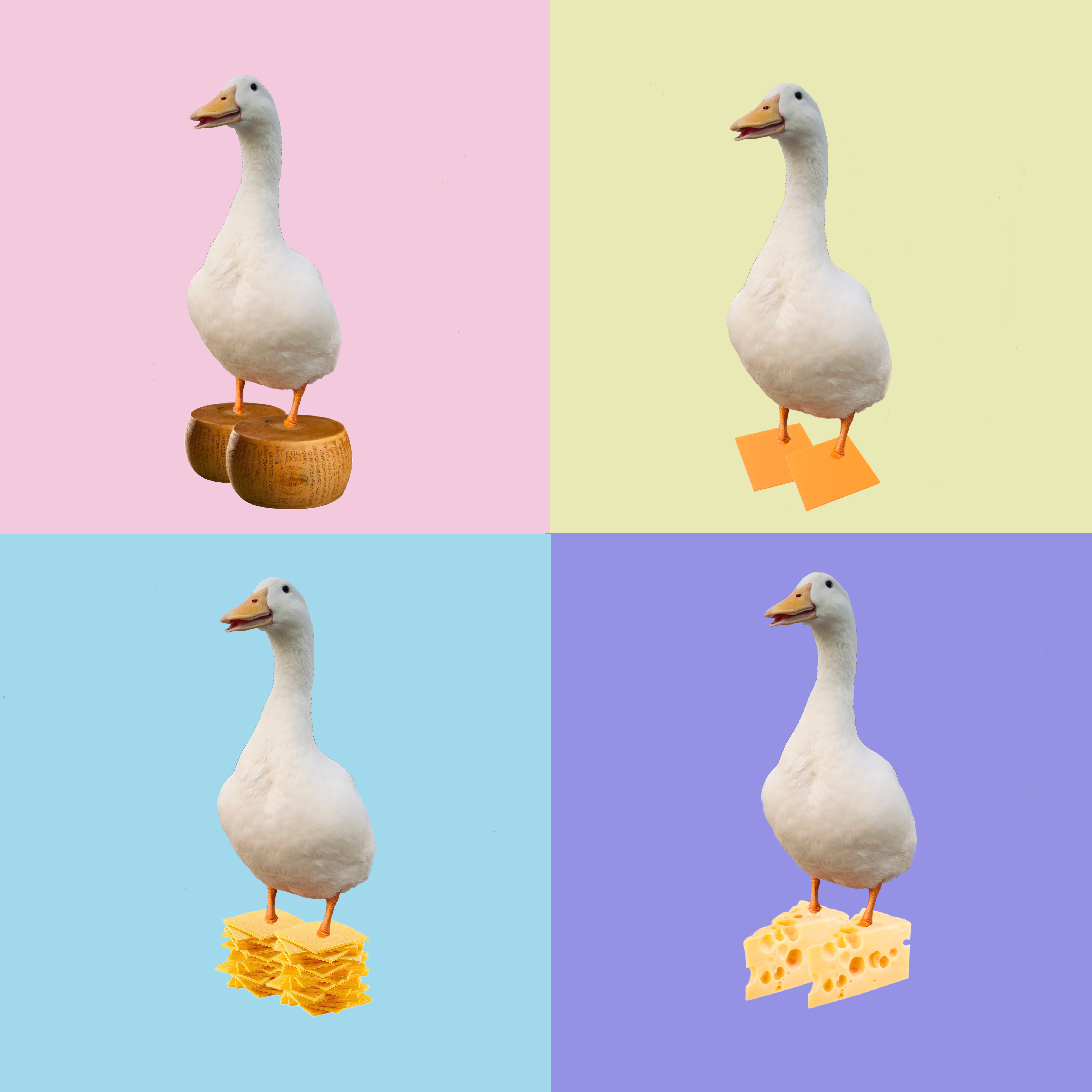 Cheese Feet – Wrinkle's STORE