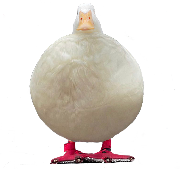 Wrinkle's SHOP – Wrinkle's STORE